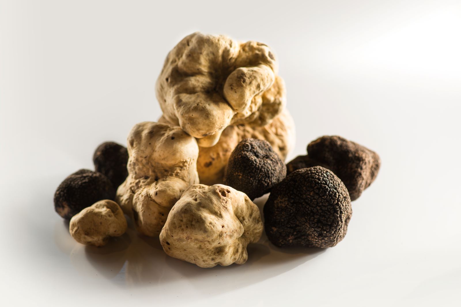 Urbani Truffles